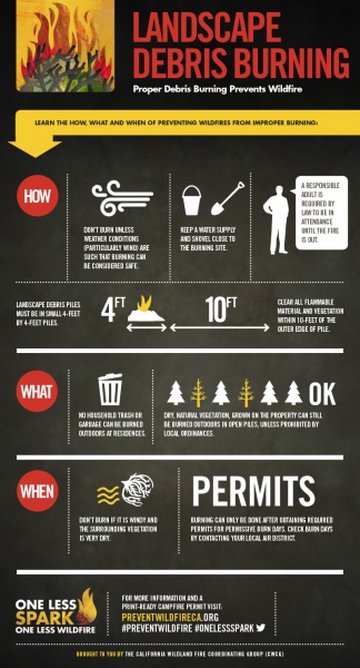 Debris Burning Infographic Final